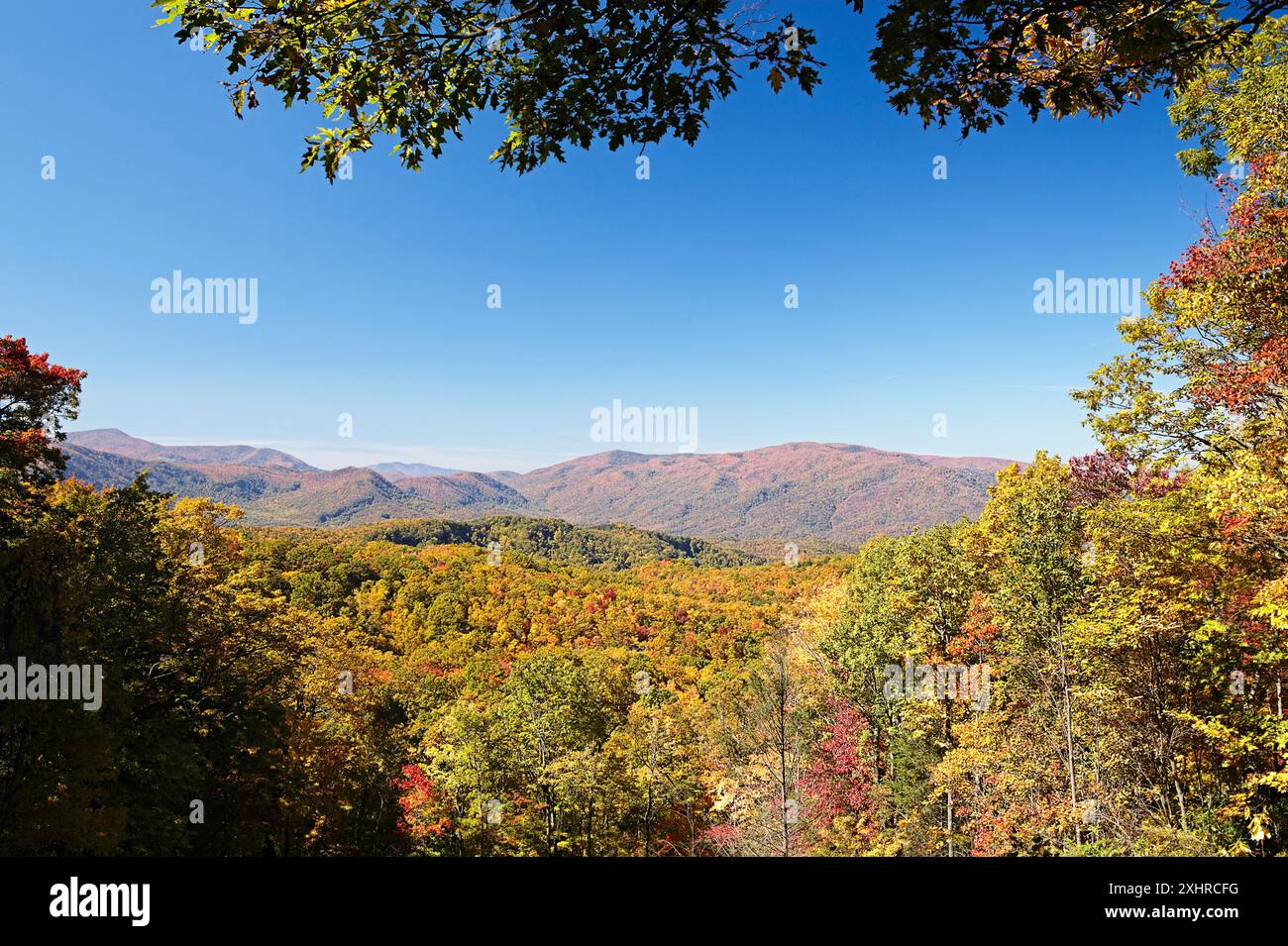 Tennessee fall color smoky mountain hi-res stock photography and images ...