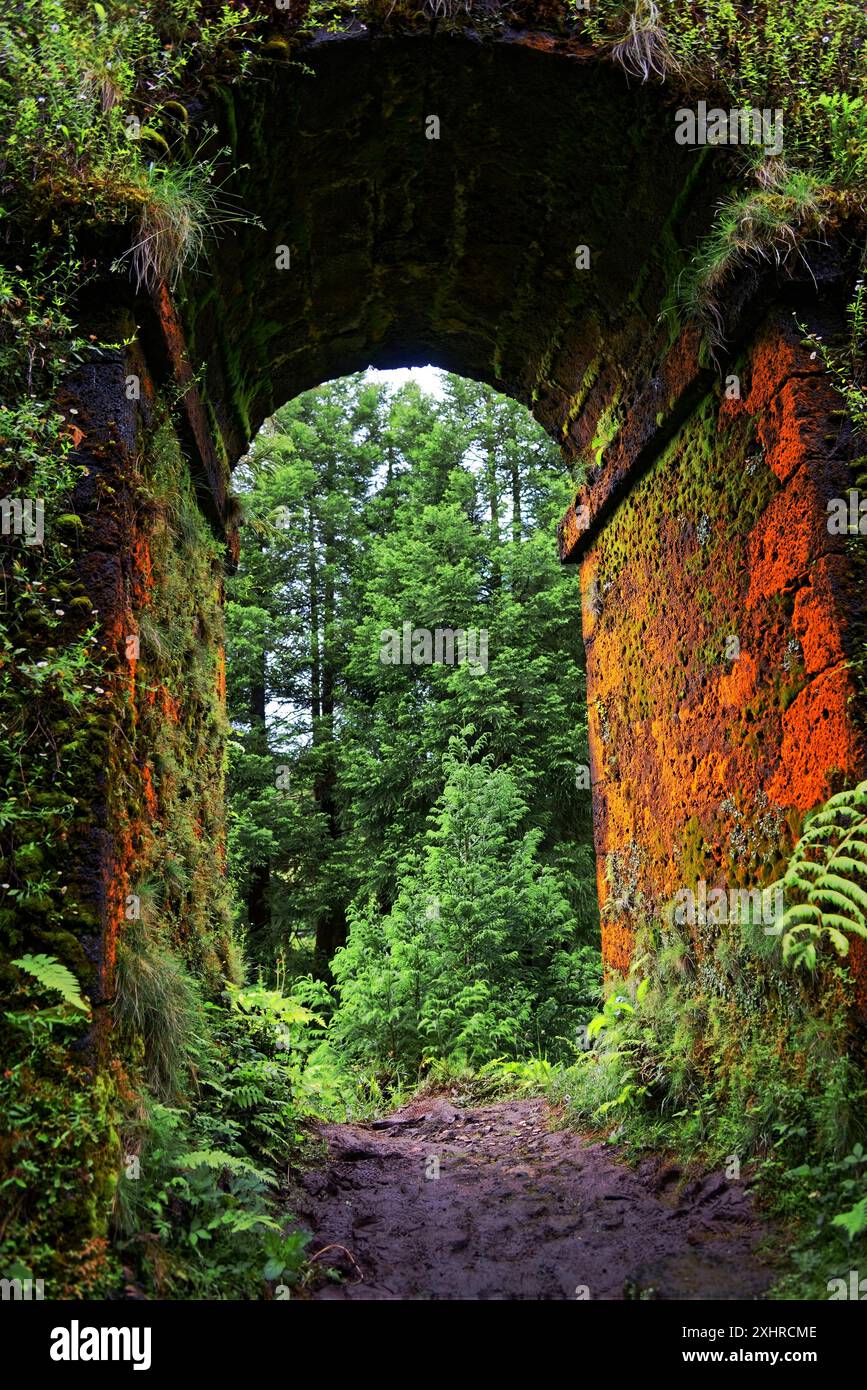 A moss-covered historic aqueduct Muro das Nove Janelas with rustic ...