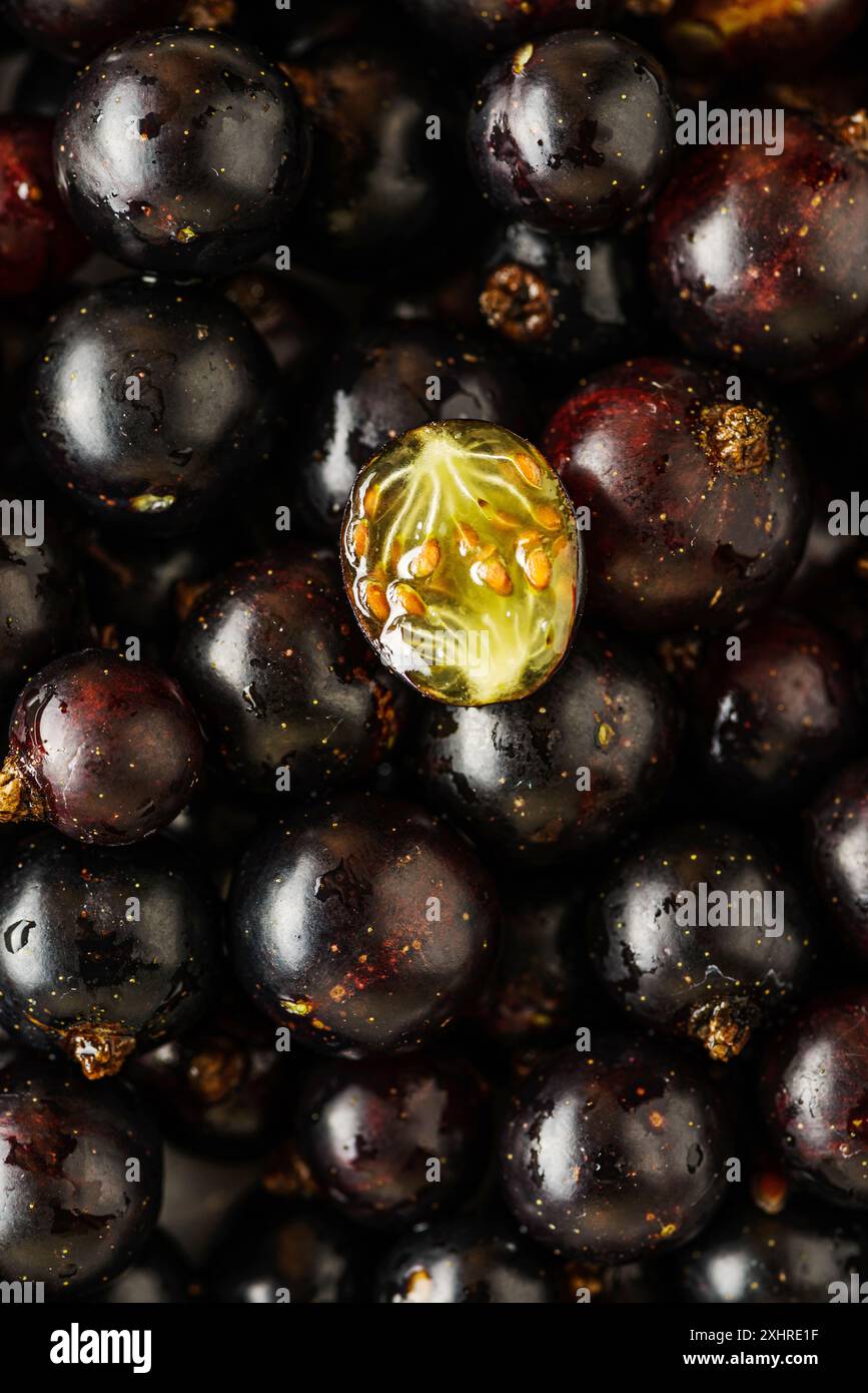 Section of bush hi-res stock photography and images - Alamy