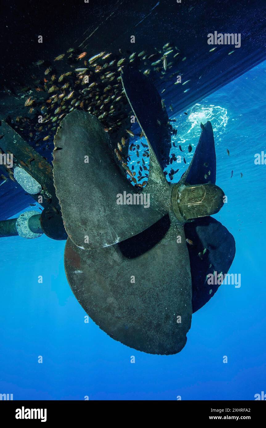 Underwater photo of five-bladed ship's propeller with five blades at a ...