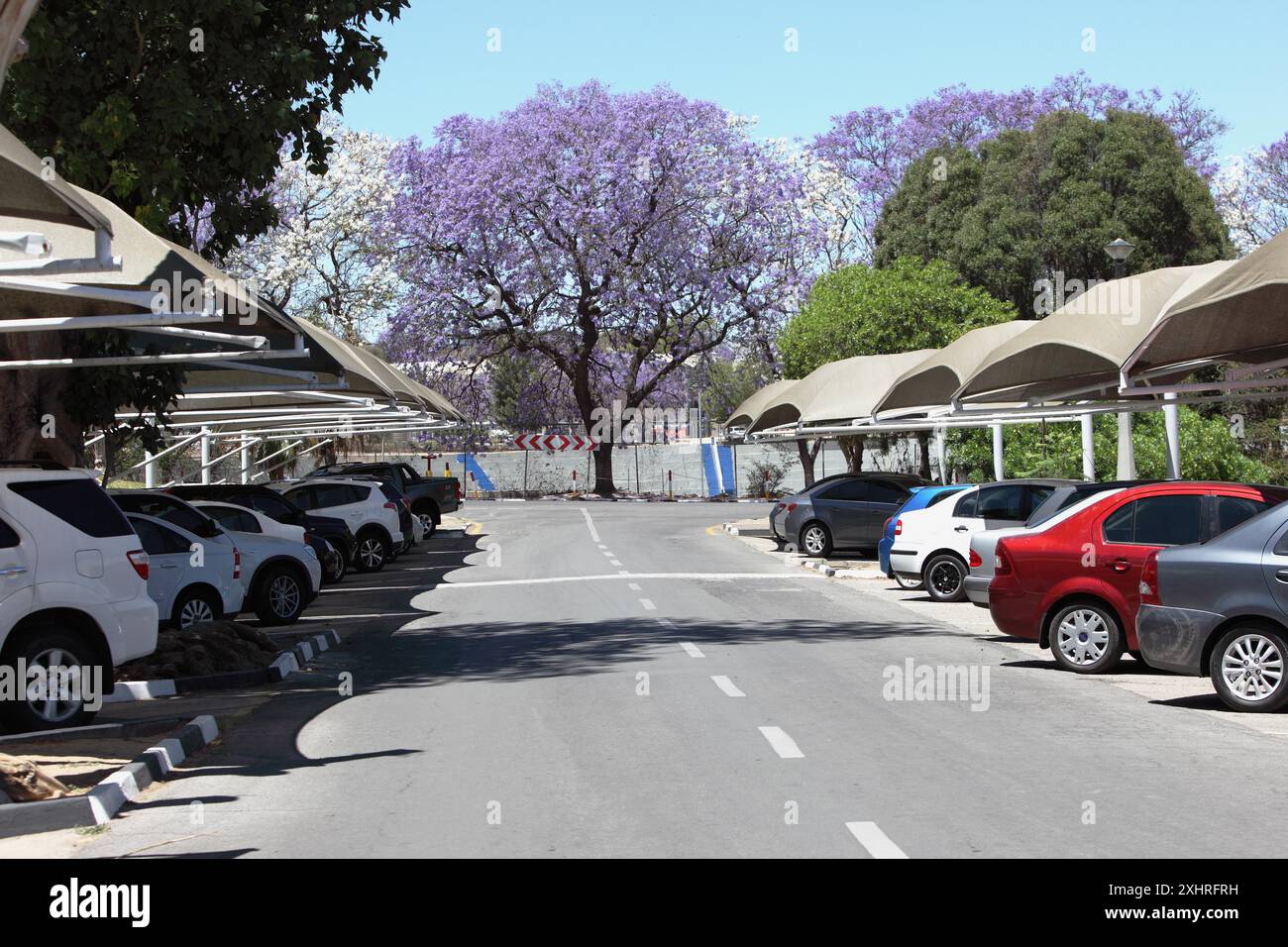 Cityscape from Windhoek, Namibia Stock Photo - Alamy