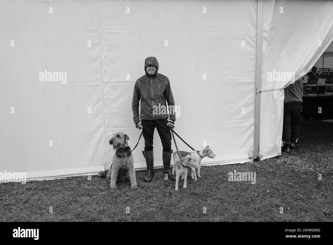 Stithians Show Cornwall Stock Photo - Alamy