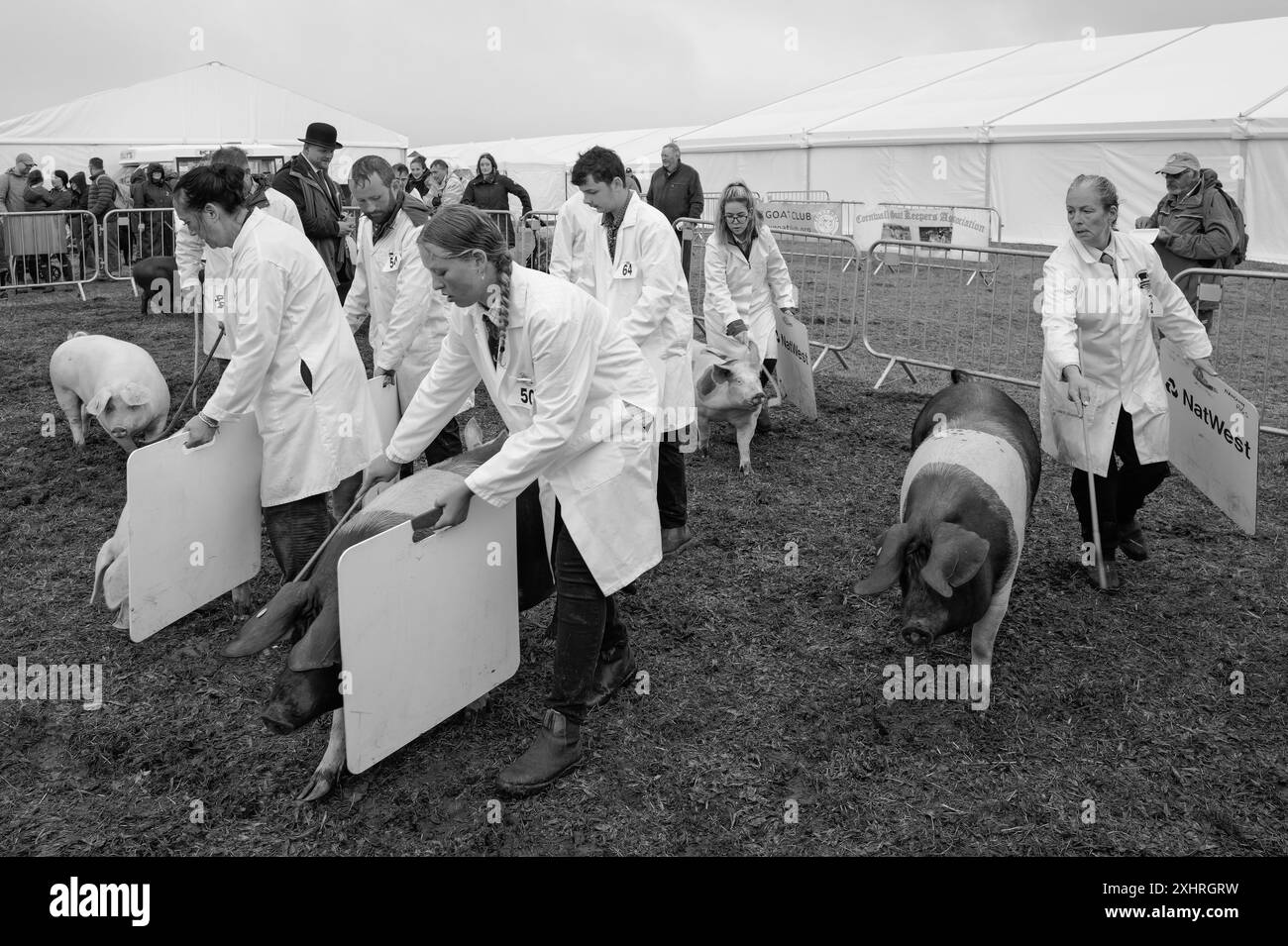 Stithians Show Cornwall Stock Photo - Alamy