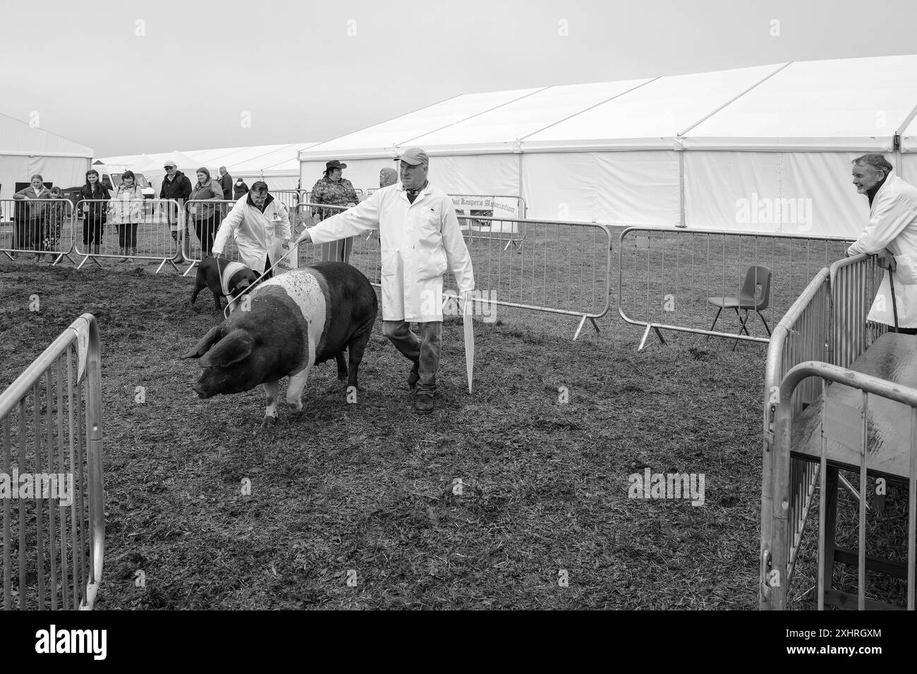 Stithians Show Cornwall Stock Photo - Alamy