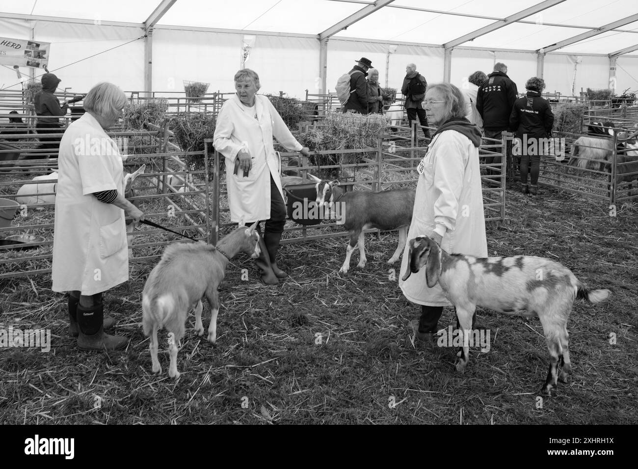 Stithians Show Cornwall Stock Photo - Alamy