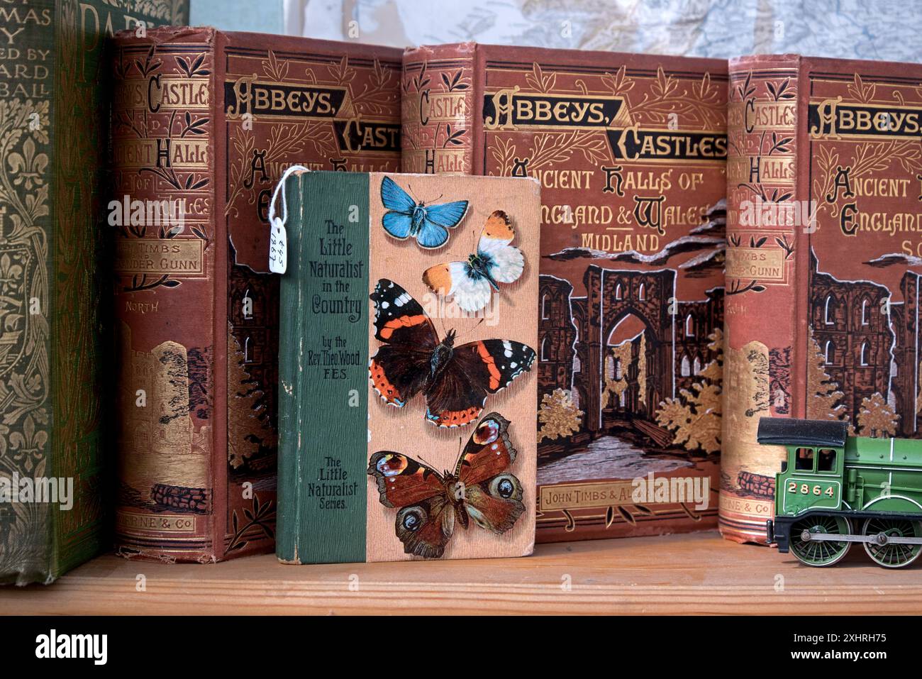 Quaint window display in a secondhand bookshop, Edinburgh, Scotland, UK ...