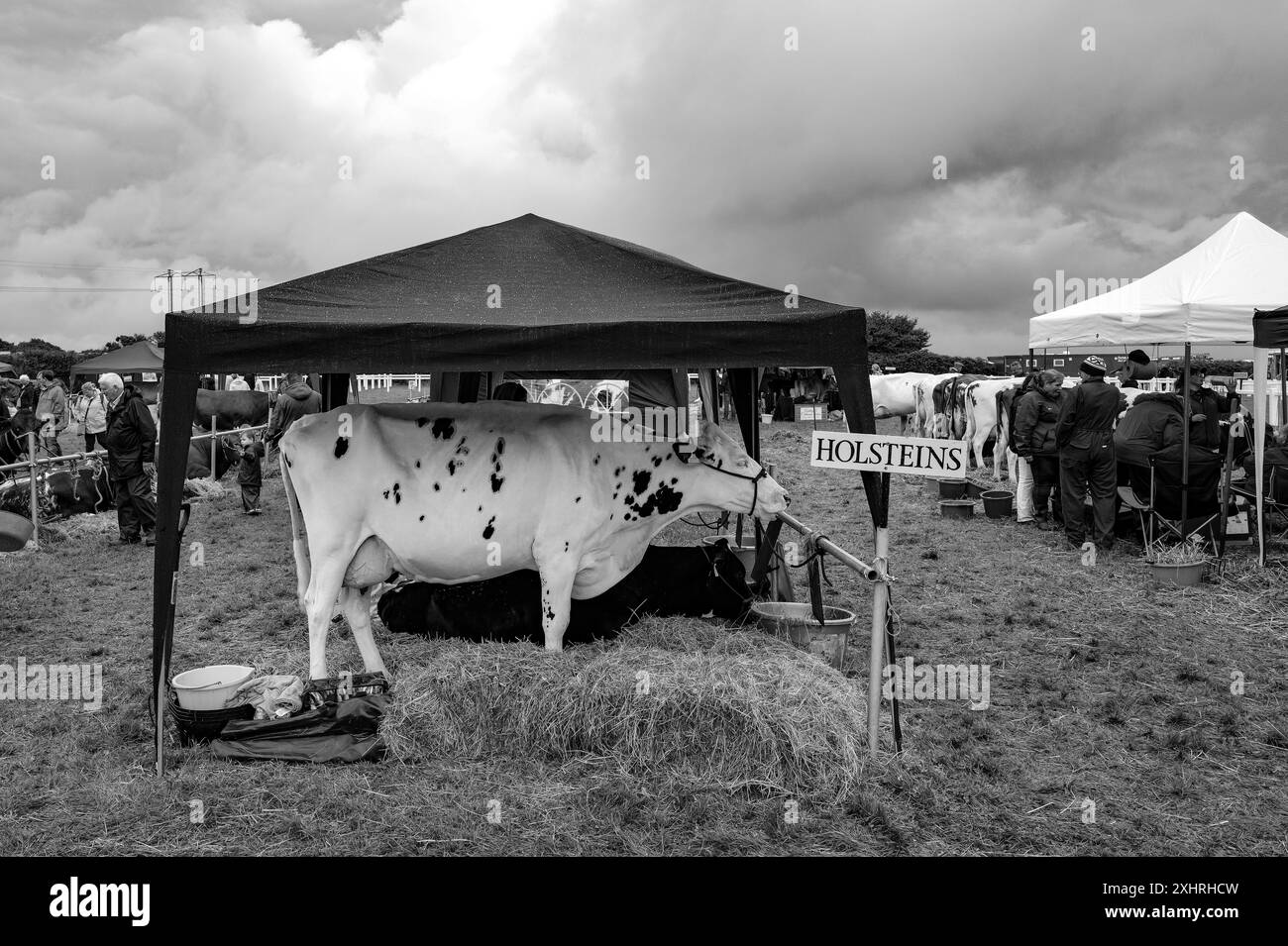 Stithians Show Cornwall Stock Photo - Alamy