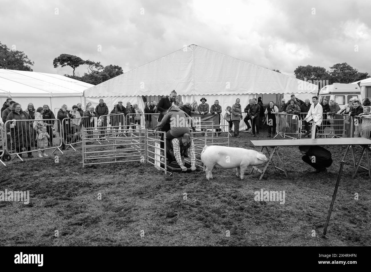 Stithians Show Cornwall Stock Photo - Alamy