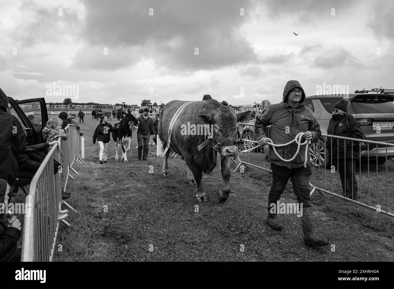 Stithians Show Cornwall Stock Photo - Alamy