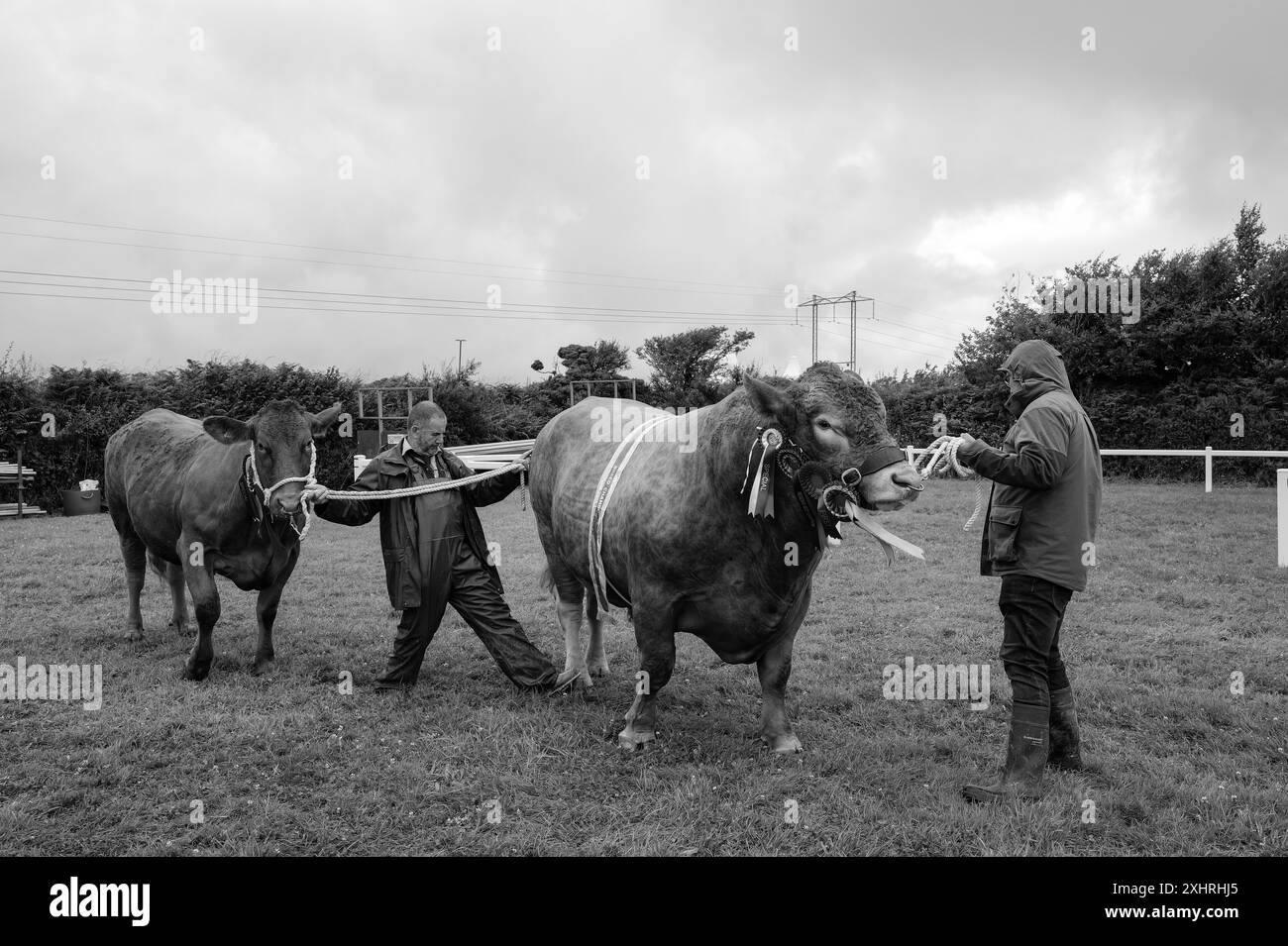 Stithians Show Cornwall Stock Photo - Alamy