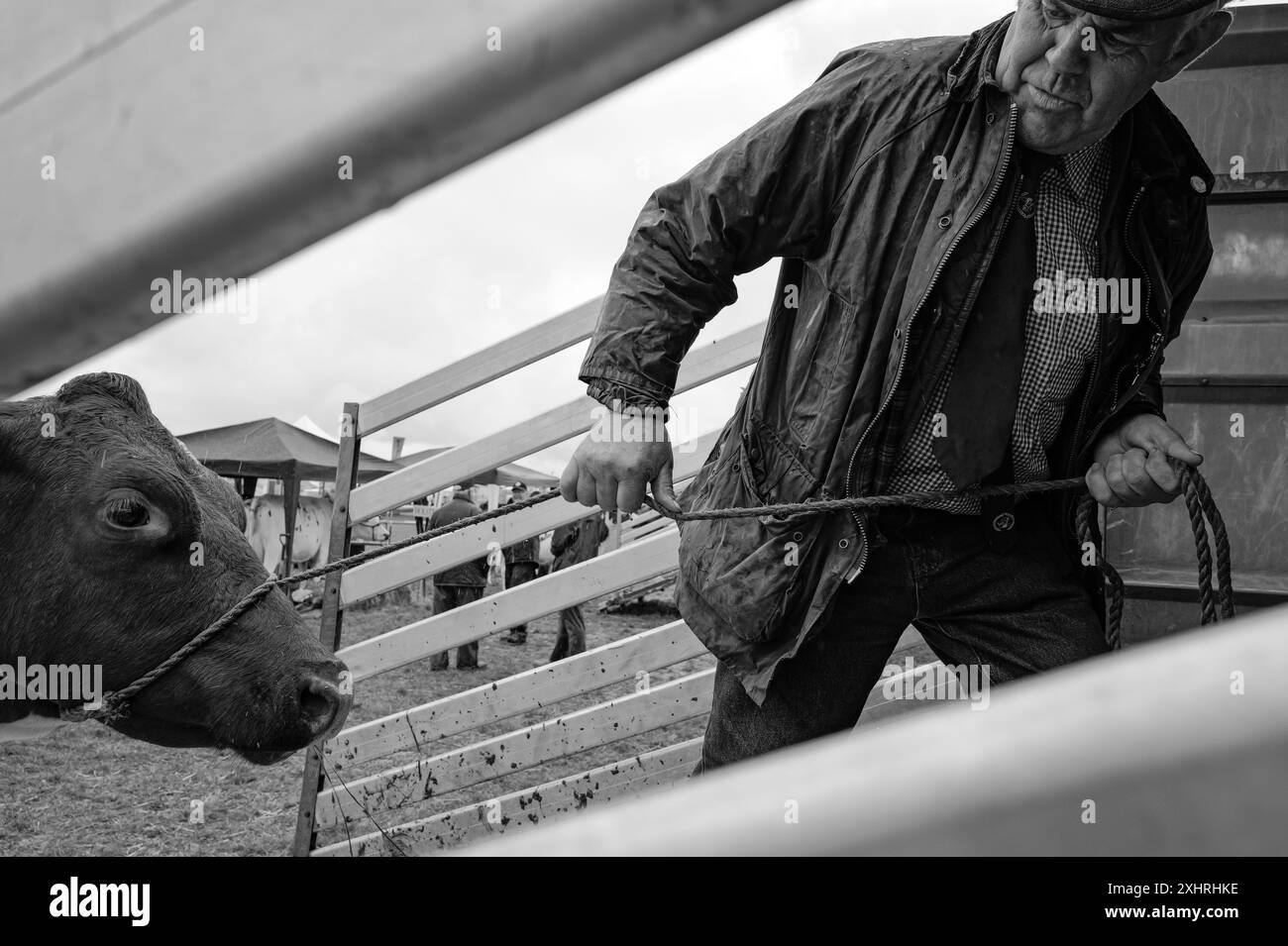 Stithians cornwall show Black and White Stock Photos & Images - Alamy