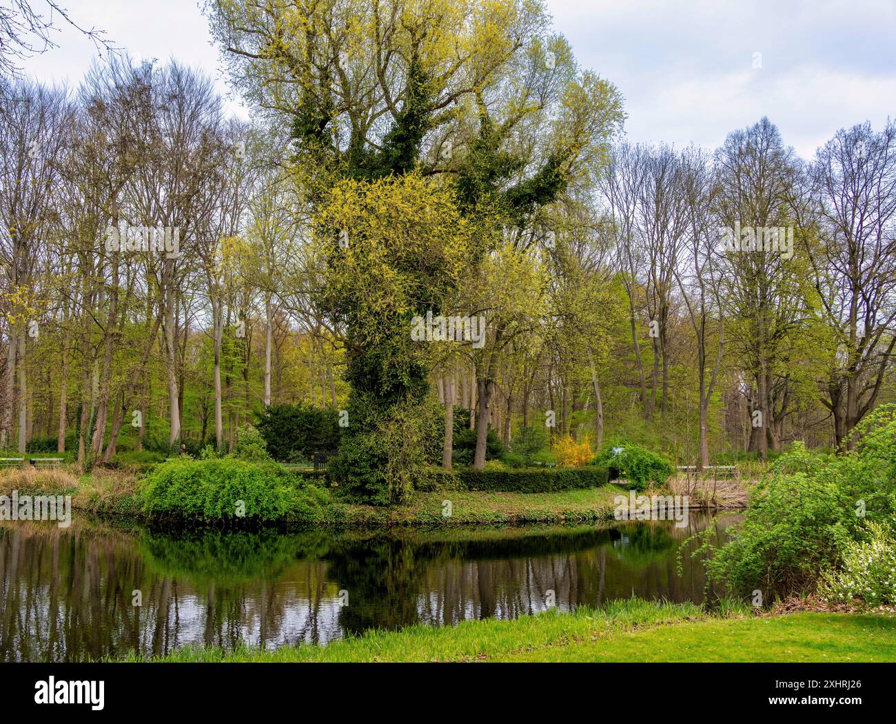 Small pond in the Grosser Tiergarten, Berlin, Germany Stock Photo - Alamy