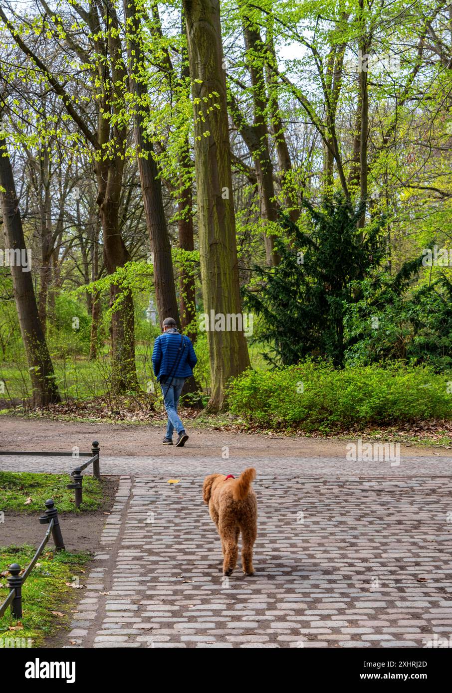 Walker with dog in the Grosser Tiergarten, Berlin, Germany Stock Photo ...