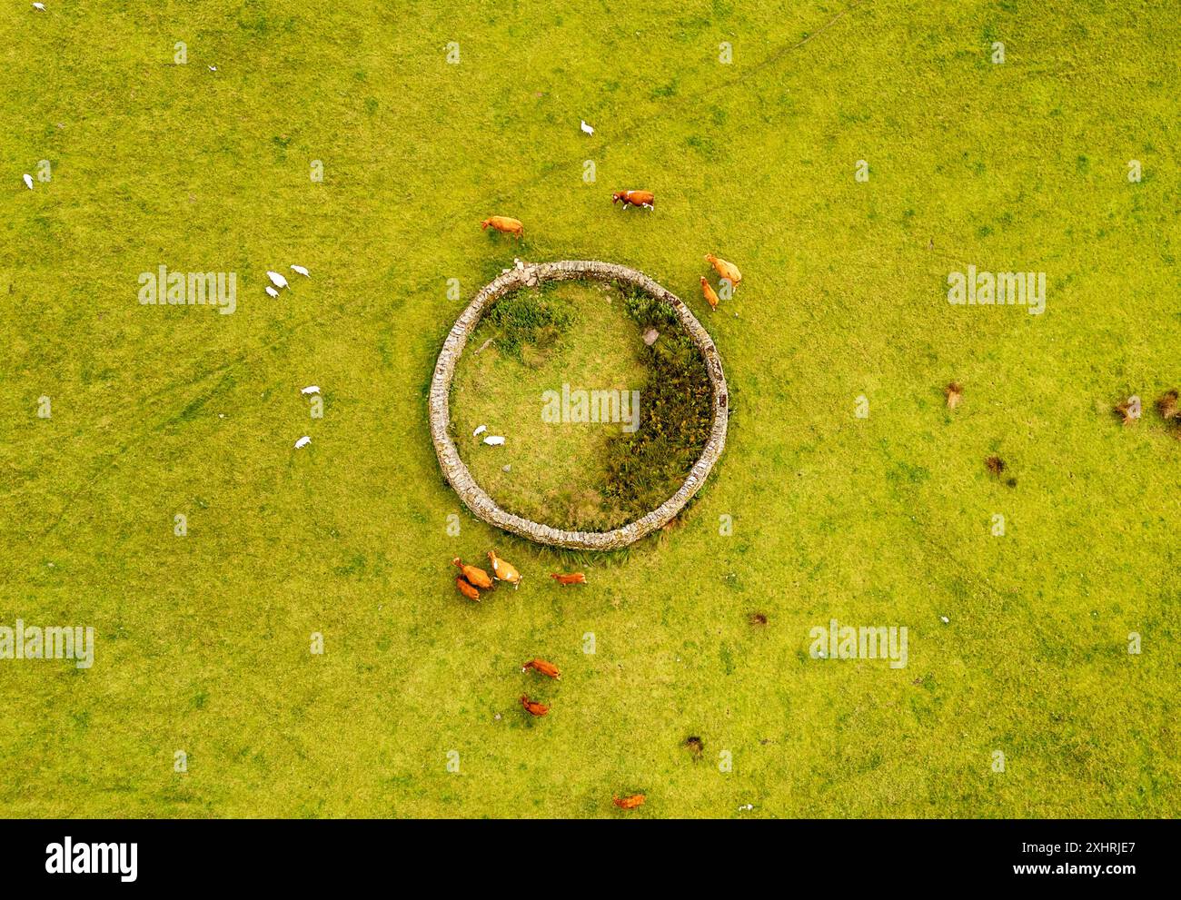 Stone built sheepfold hi-res stock photography and images - Alamy