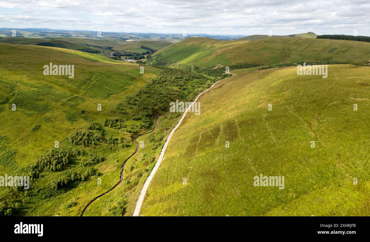 Rewilding uplands hi-res stock photography and images - Alamy
