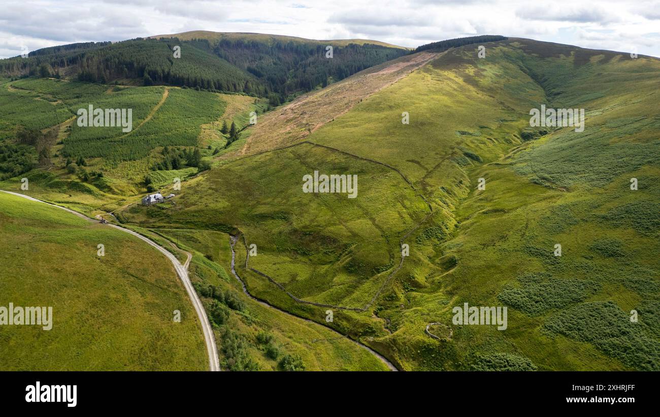 Priesthaugh forest hi-res stock photography and images - Alamy