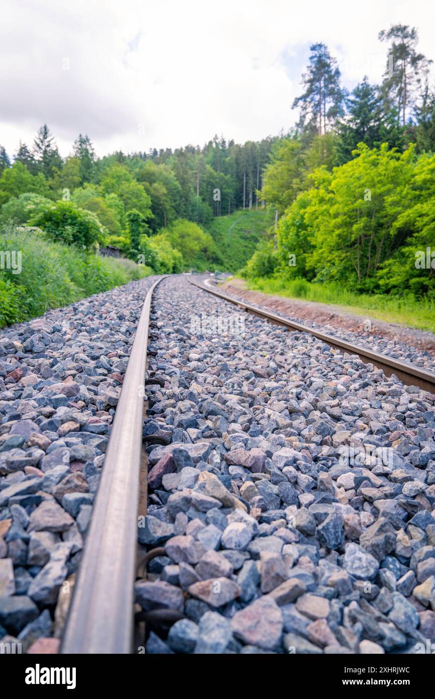 Tracks run through wooded area, surrounded by gravel and lush greenery ...