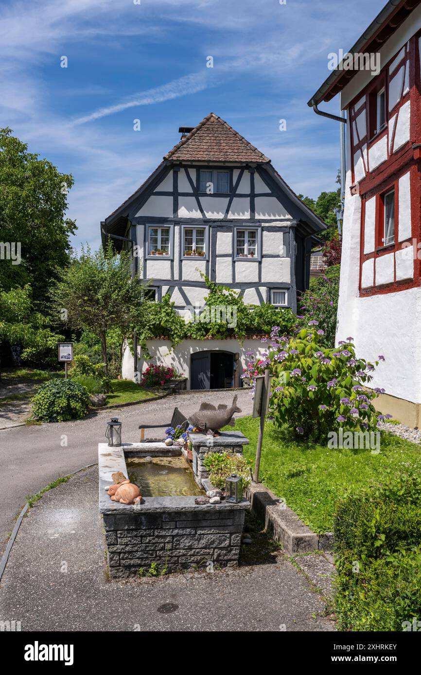 Village fountain and ivy house, historic half-timbered houses in the ...