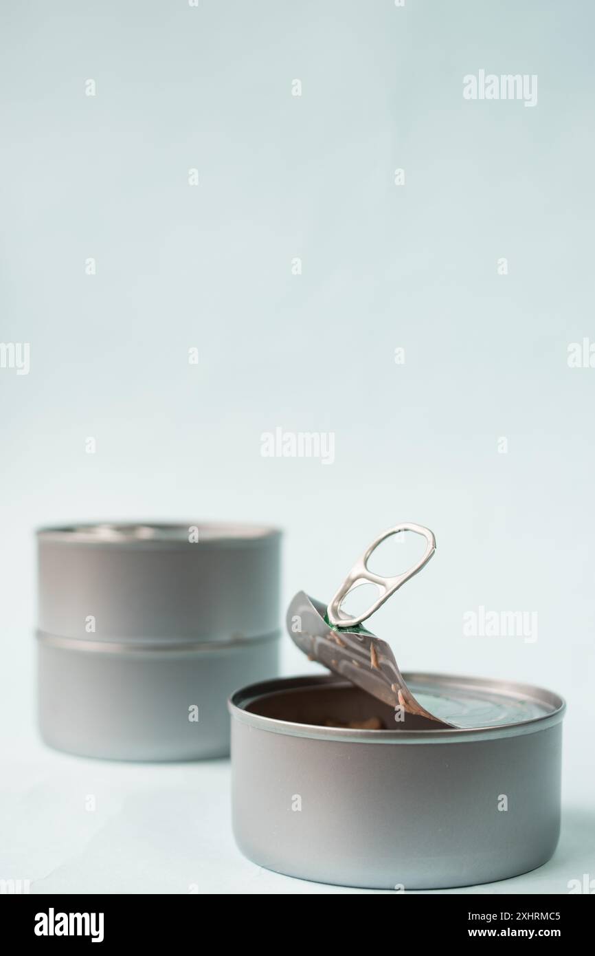 A vertical close-up shot of opened and unopened canned food on a light ...