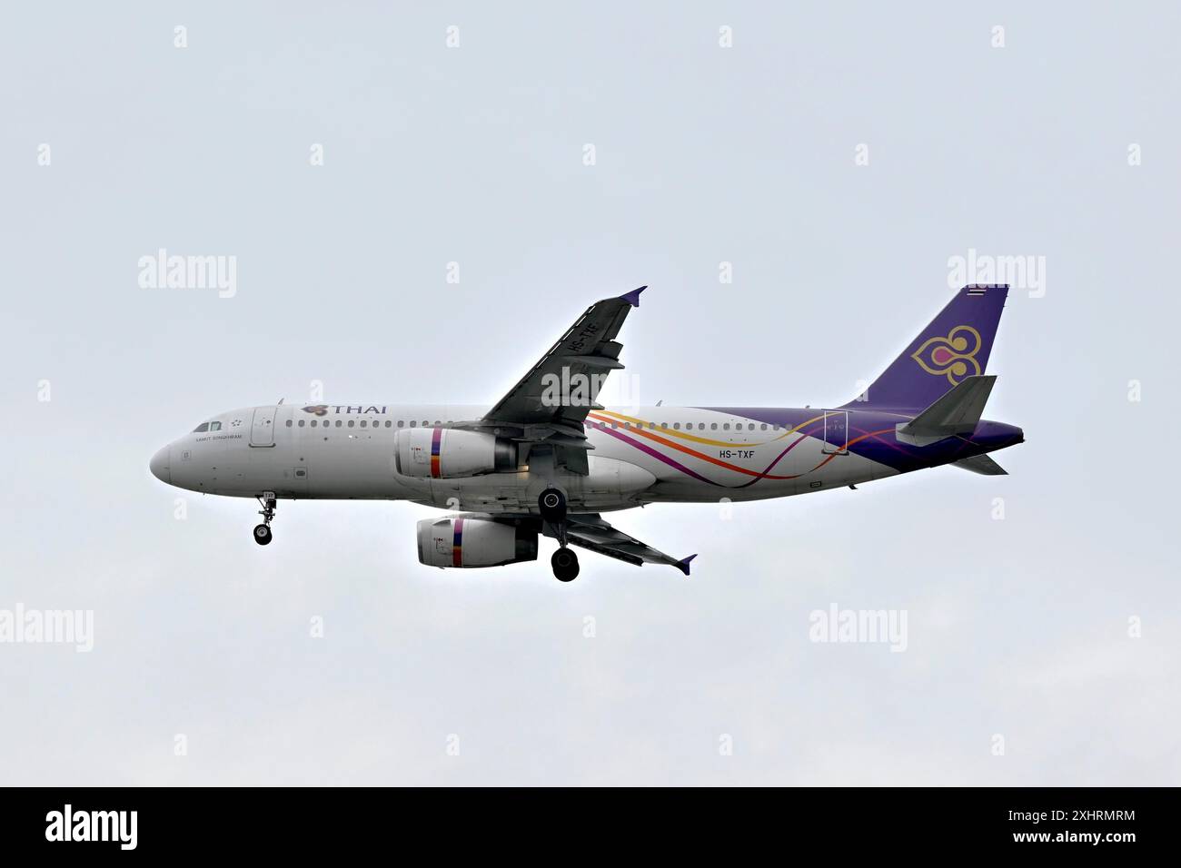 Aircraft Thai Airways, Airbus A320-200, HS-TXF Stock Photo - Alamy