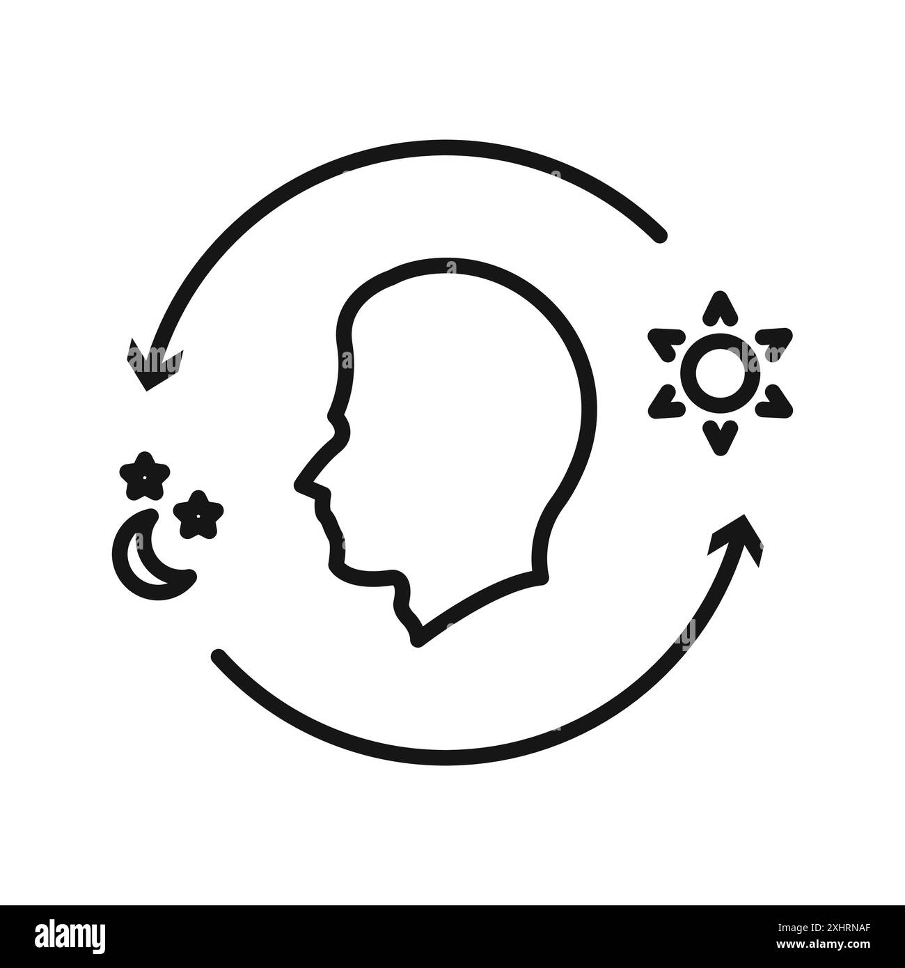 Circadian rhythms icon Black line art vector in black and white outline ...