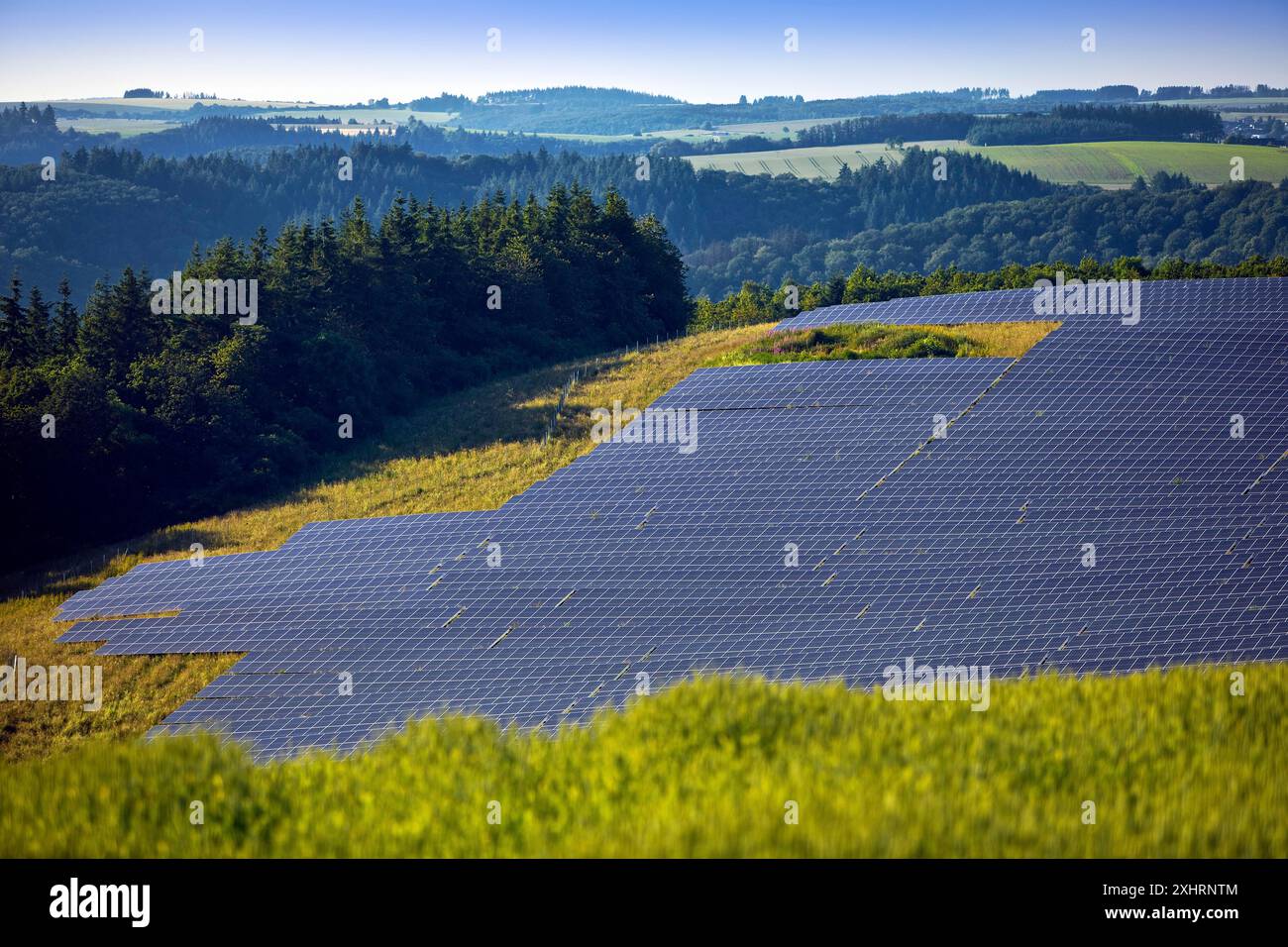 Large ground-mounted photovoltaic system, solar park in the Southern ...