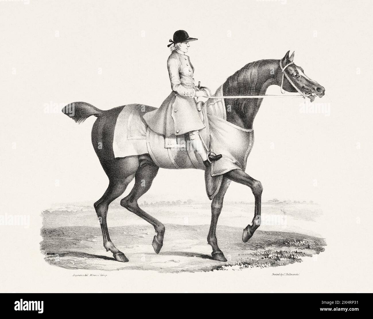 Vintage Horse Illustration. Plate from a 19th-century book on ...