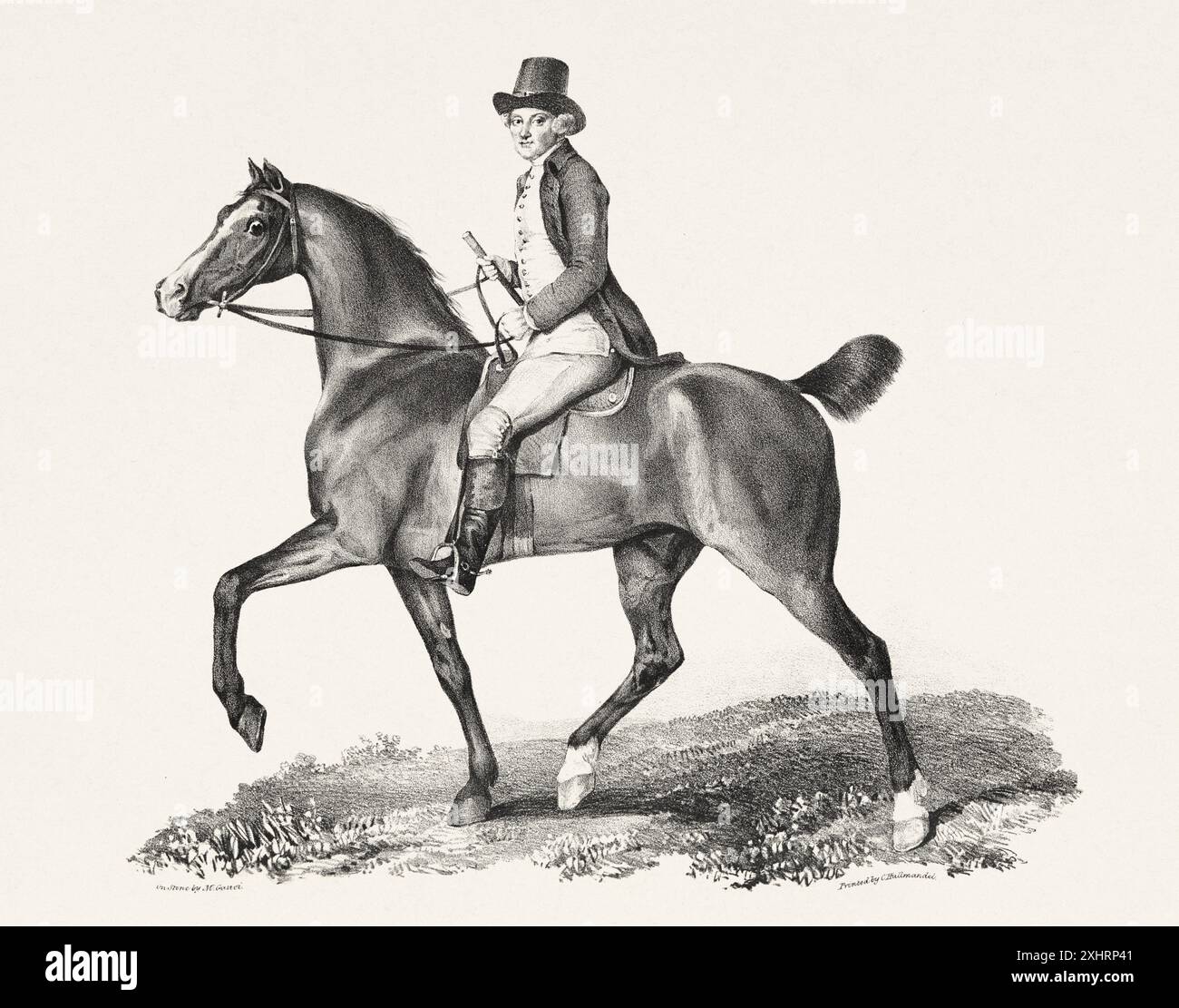 Vintage Horse Illustration. Plate from a 19th-century book on ...