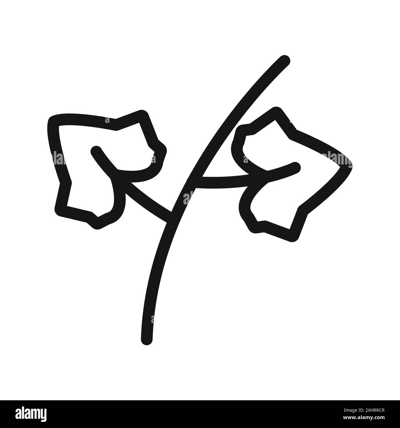 English ivy icon Black line art vector in black and white outline set ...
