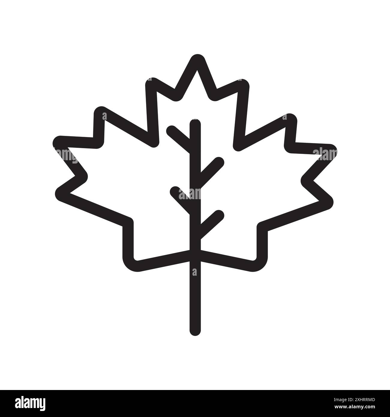 Maple leaf icon Black line art vector in black and white outline set ...