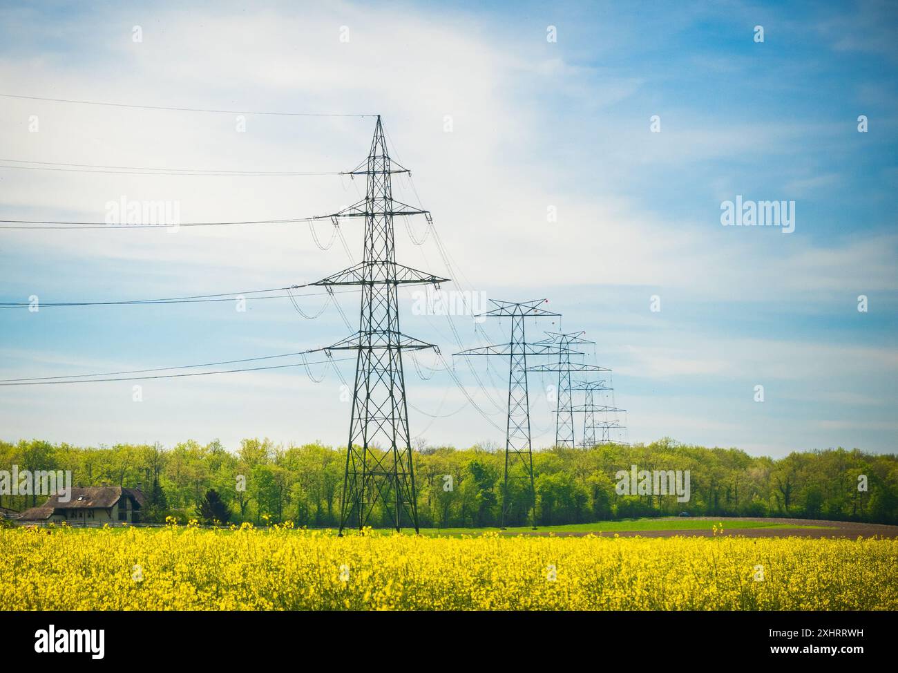 Utility poles in a field with a sunny day Stock Photo - Alamy