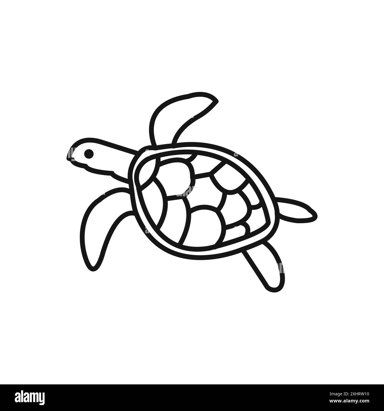 turtle icon Black line art vector in black and white outline set ...
