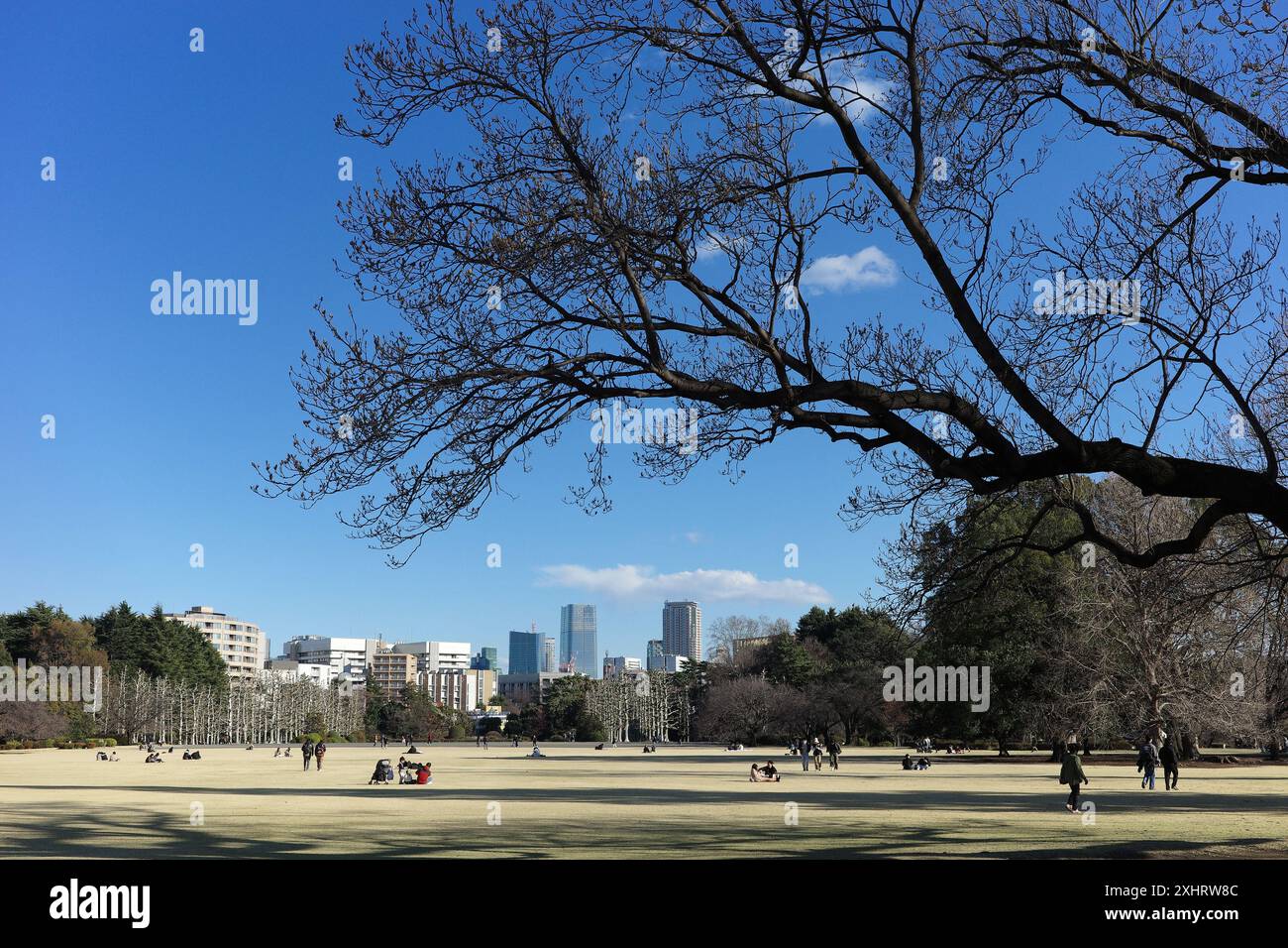 Tokyo Shinjuku Park Stock Photo - Alamy