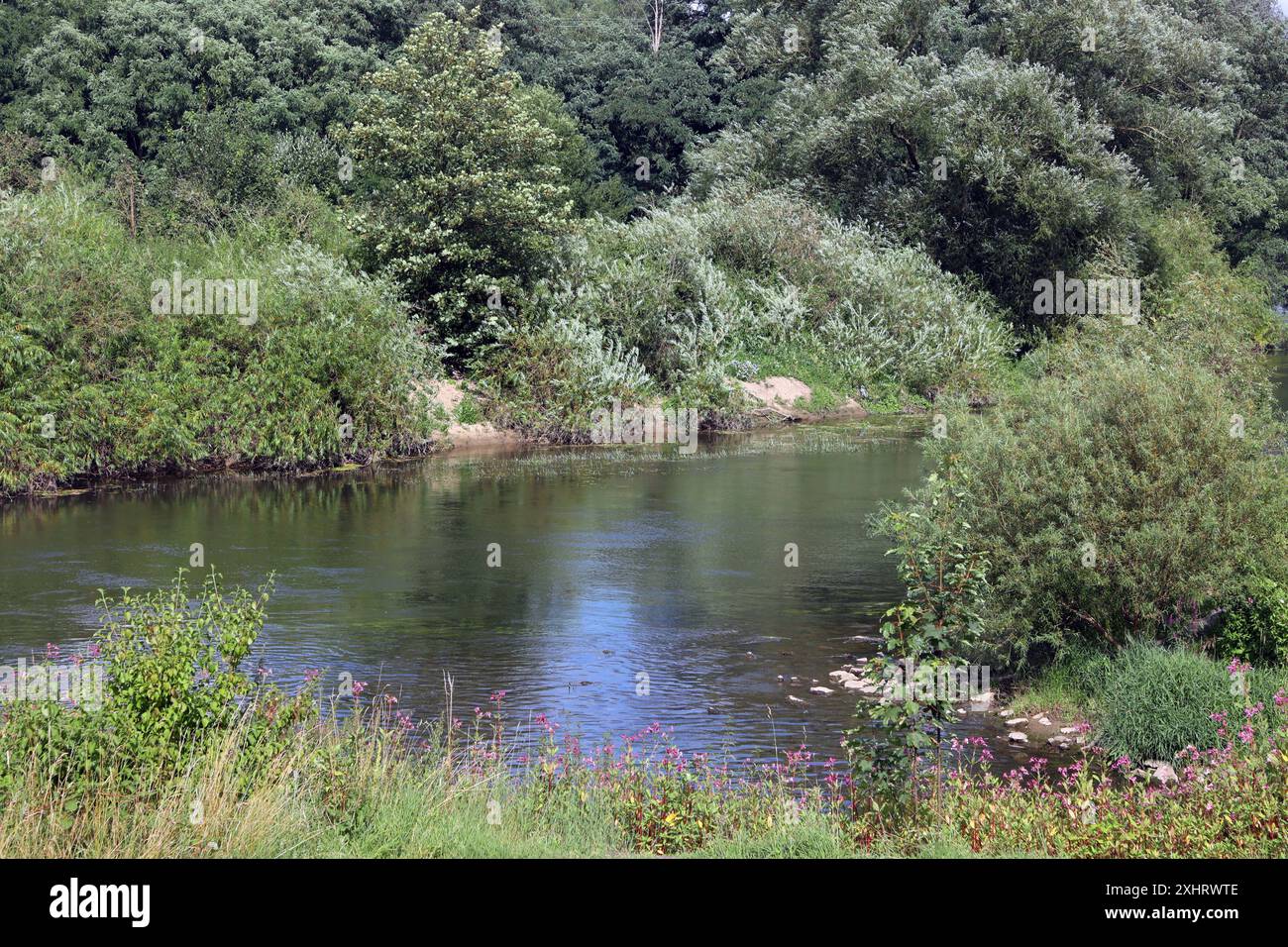 Flüsse in Deutschland Die Lippe in Lünen umgeben von üppiger Vegetation ...
