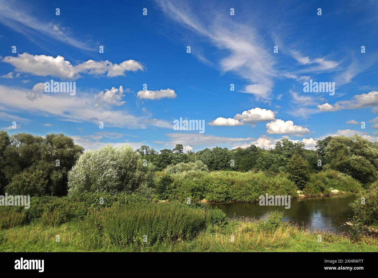 Flüsse in Deutschland Die Lippe in Lünen umgeben von üppiger Vegetation ...