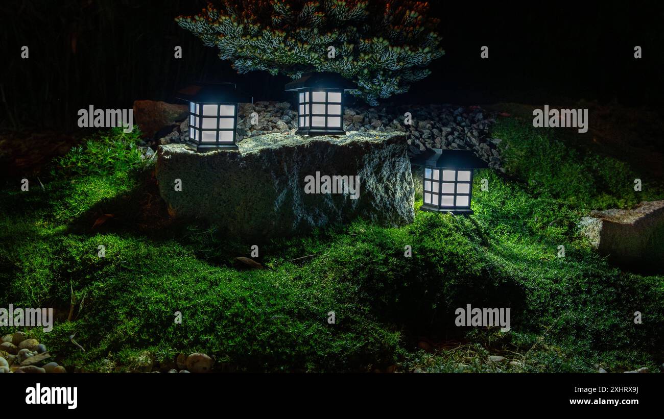 Night garden photography hi-res stock photography and images - Alamy