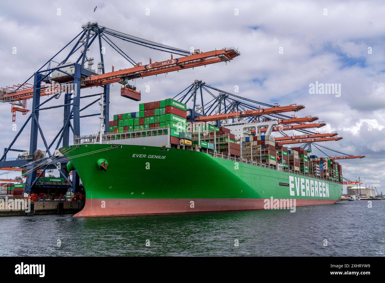 Euromax Container Terminal, Container Frachter Ever Genius, Evergreen ...