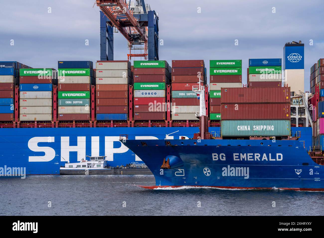 Euromax Container Terminal, BG Emerald der BF Fright Line, Container ...