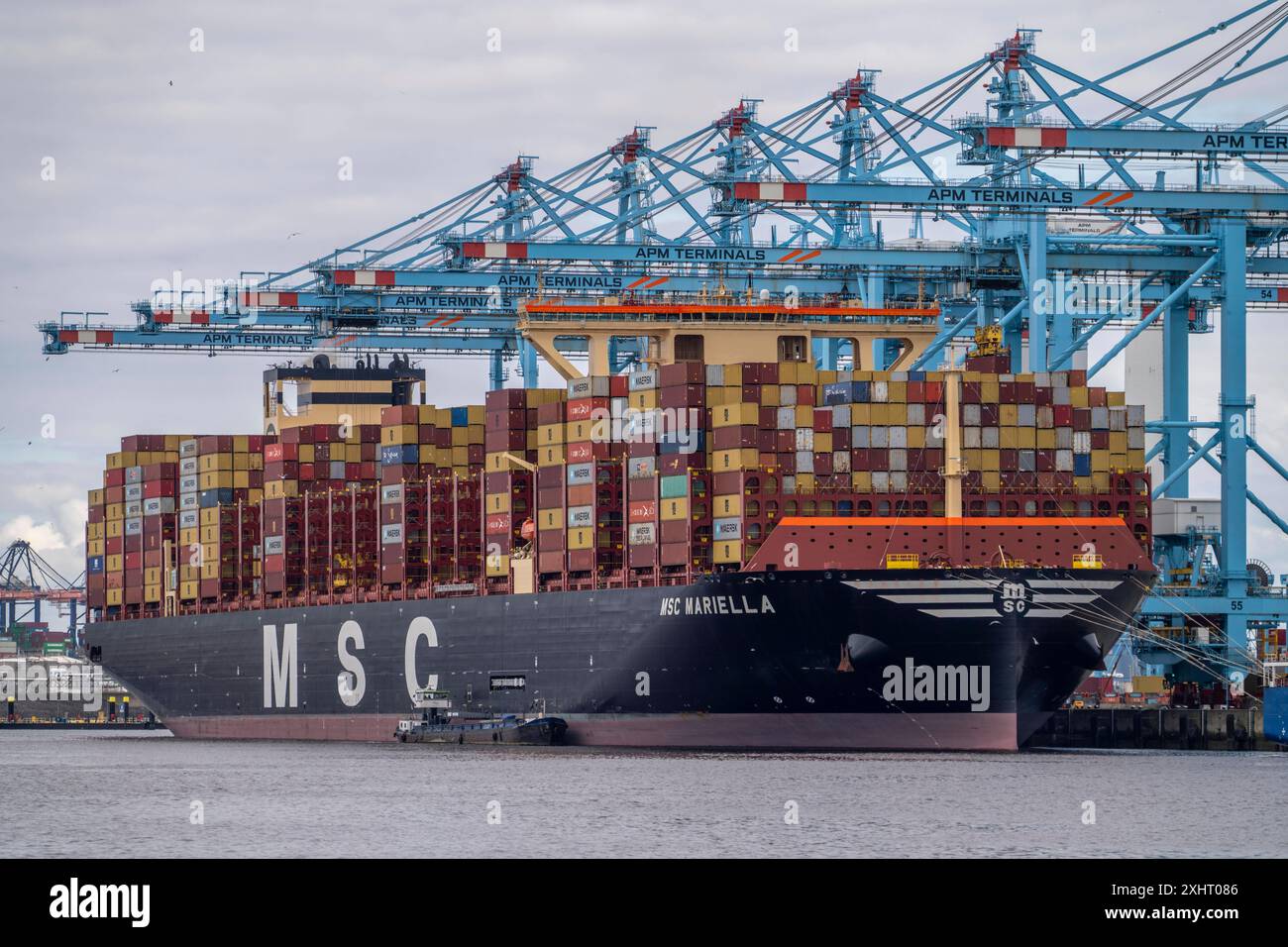 APM Container Terminal, MSC Container Frachter Mariella wird be- und ...