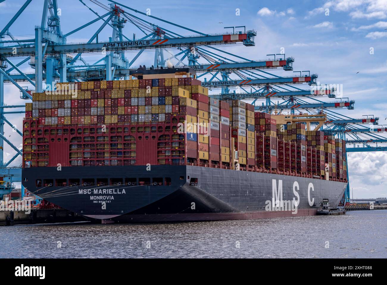 APM Container Terminal, MSC Container Frachter Mariella wird be- und ...