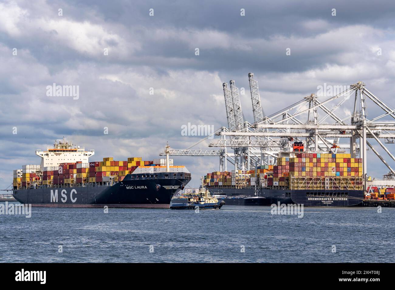 ECT Delta Container Terminal, im Europahaven, MSC Laura Container ...