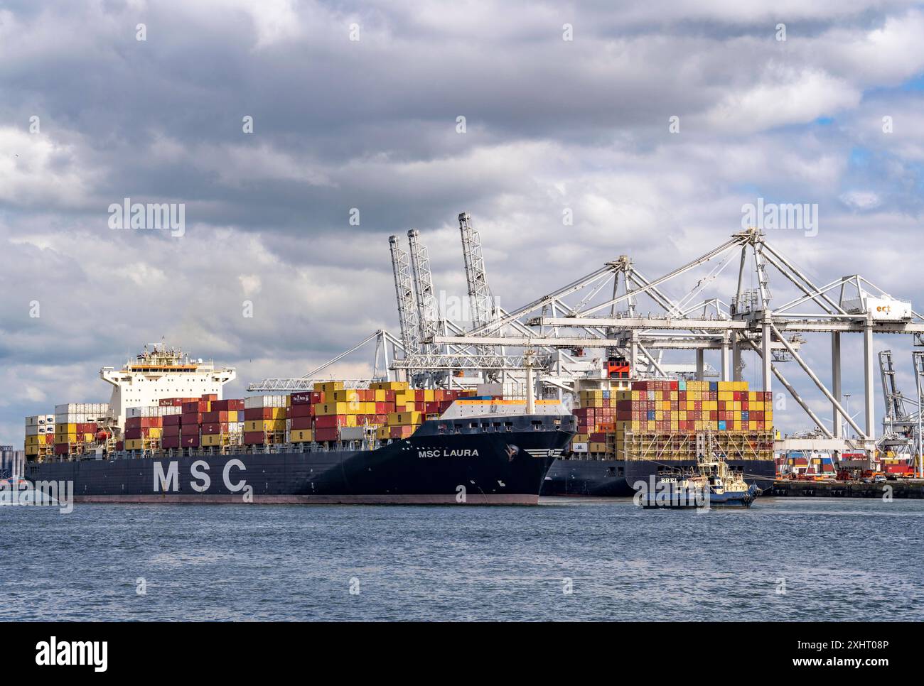 ECT Delta Container Terminal, im Europahaven, MSC Laura Container ...