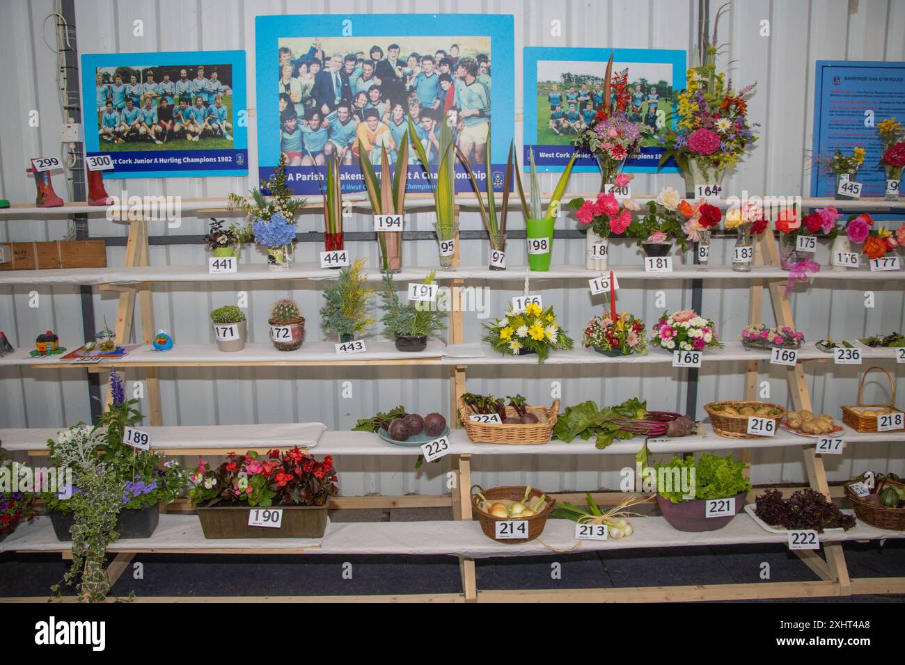 Barryroe Agricultural Show, West Cork, July 2024 Stock Photo - Alamy