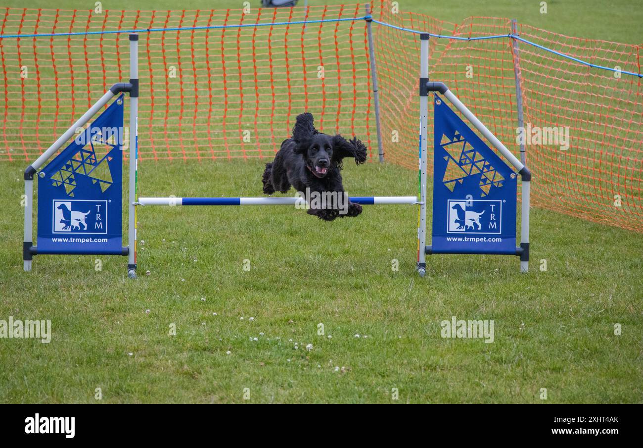 Barryroe show society hi-res stock photography and images - Alamy