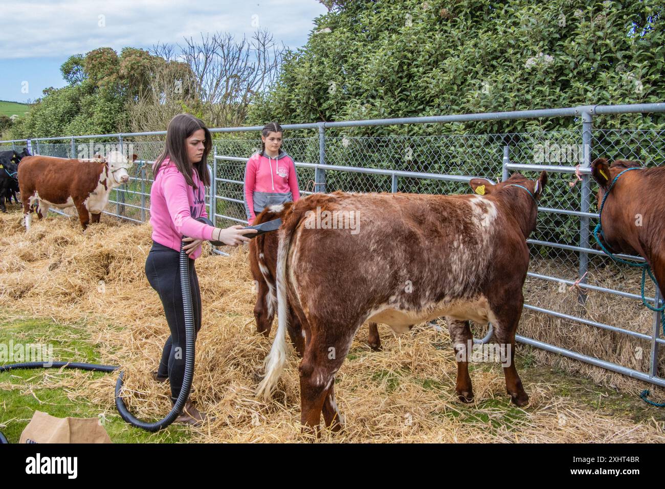 Barryroe show hi-res stock photography and images - Alamy