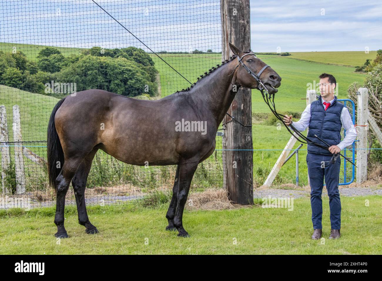 Barryroe show society hi-res stock photography and images - Alamy