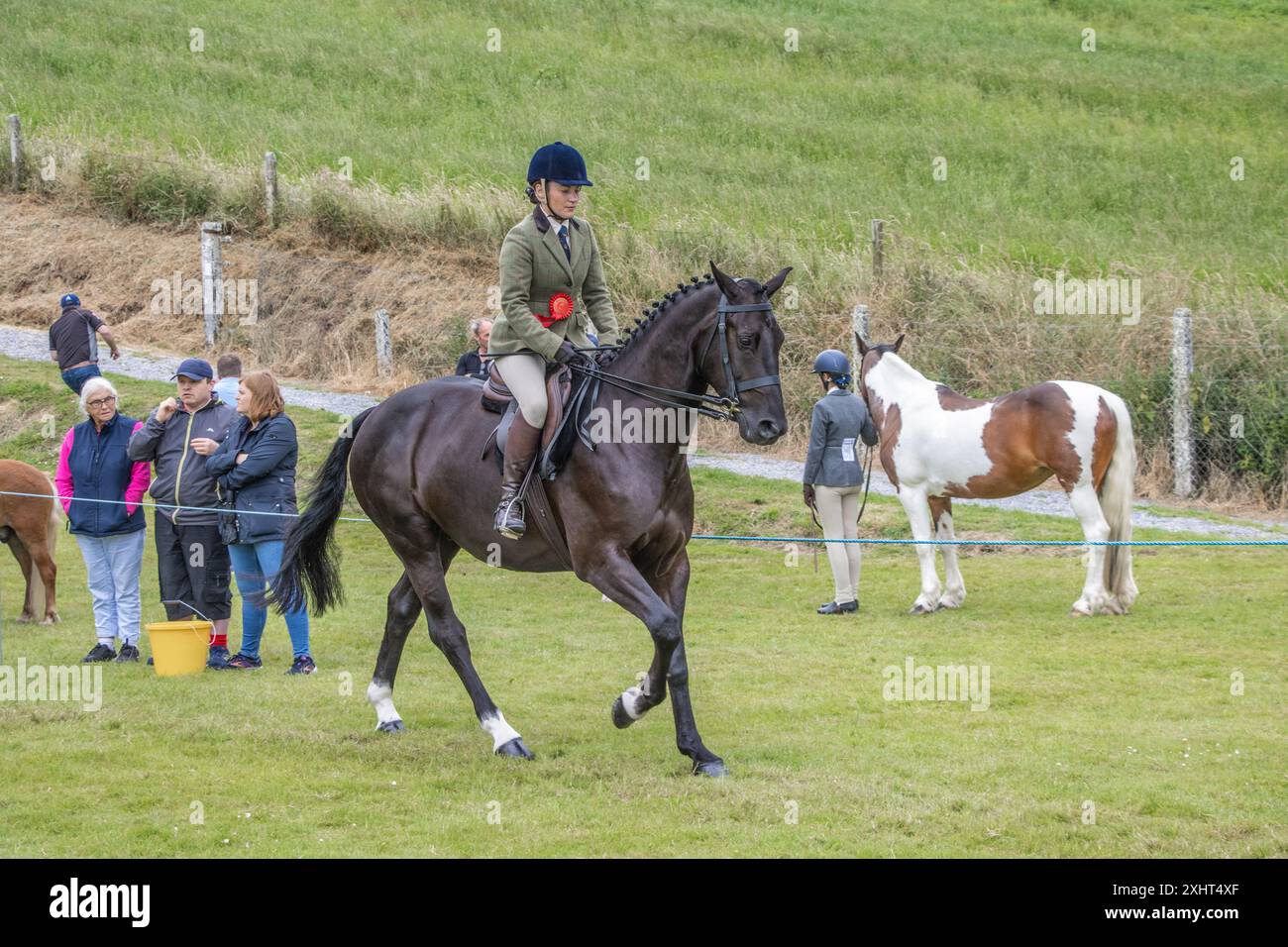 Sinead dalton hi-res stock photography and images - Alamy