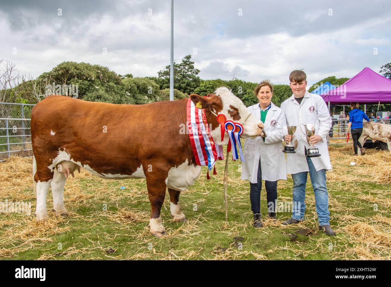 Barryroe show society hi-res stock photography and images - Alamy