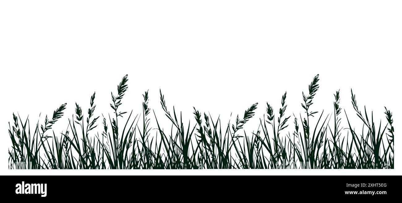 doodle grass illustration collection hand drawn style Stock Vector ...