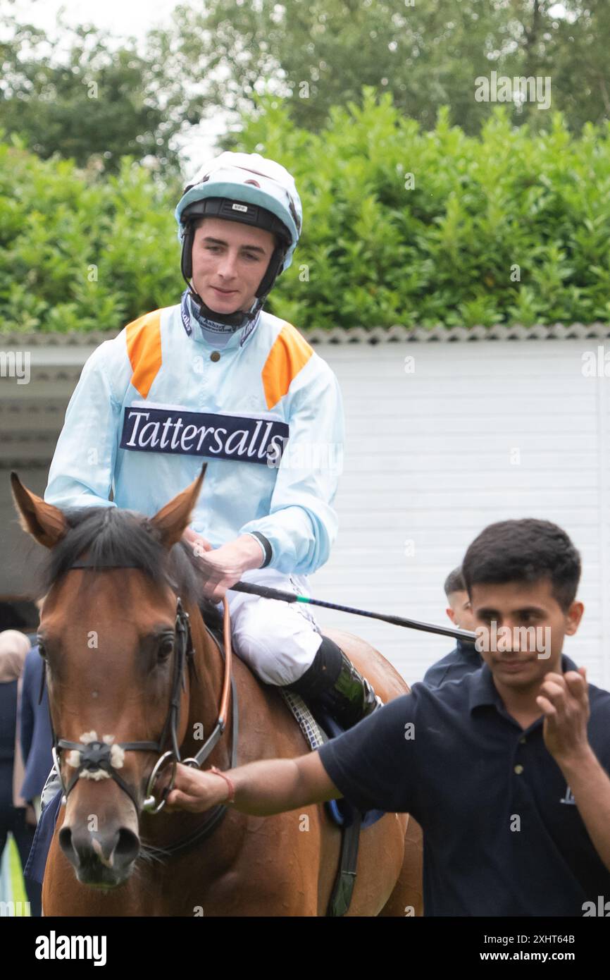 Owner middleham park racing cvii hi-res stock photography and images ...